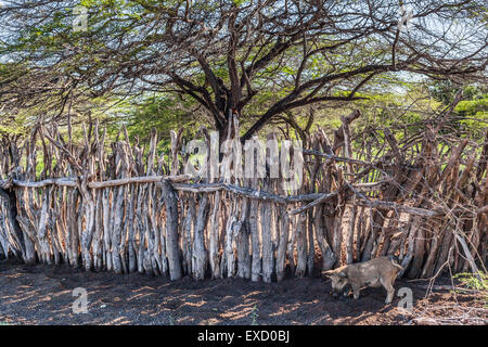 Corral in a Wayuu "rancheria", or traditional rural settlement. The ...