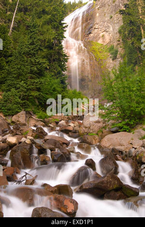Spray Park Trail at Mt Rainier NP in WA Stock Photo - Alamy