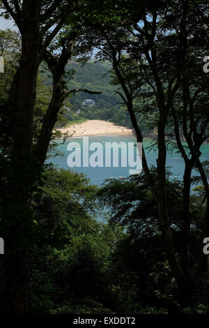Mill Bay beach Salcombe Devon uk one of several beautiful beaches in ...