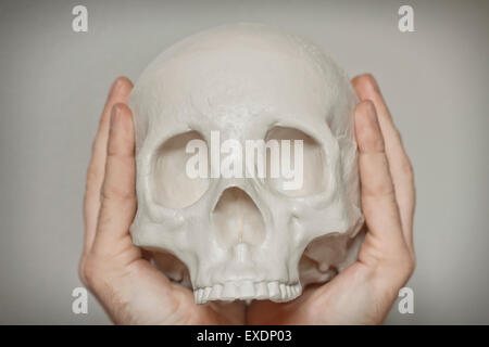 Hands hold skull in the air for pensive expression Stock Photo - Alamy