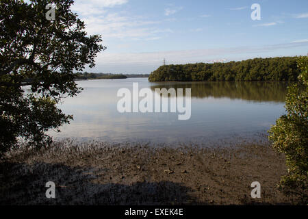 Ermington Bay on the Parramatta River in Western Sydney, Australia ...