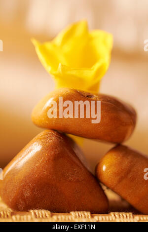 flowers and spa equipment Stock Photo - Alamy