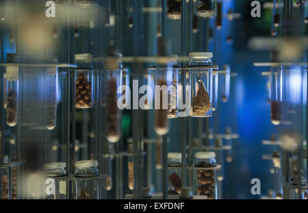 Scientific samples in storage containers Stock Photo - Alamy