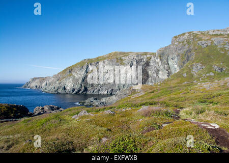 Sea cliffs near St. Anthony, Newfoundland Stock Photo - Alamy