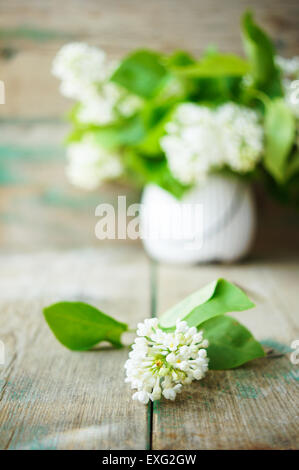 Vase with lilac flowers on table in living room Stock Photo - Alamy