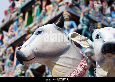 Sacred Hindu cow statue at the Sri Mariamman Temple in Singapore Stock ...