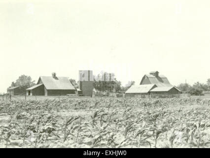 The photograph captures the Mennonite community in Detroit Lakes ...