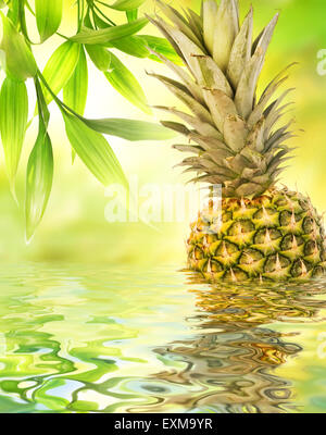 Pineapple in garden with the sunshine of summer Stock Photo - Alamy