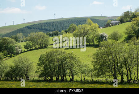 Carno wind farm, Powys, Mid Wales, UK Stock Photo - Alamy
