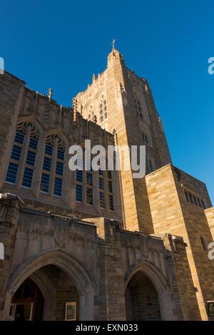 Princeton University campus Firestone Library. Ivy League school ...