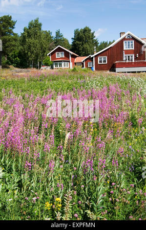 falun red traditional buildings building paint meadow rural sweden ...