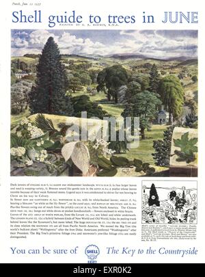 1950s UK Shell Magazine Advert Stock Photo - Alamy