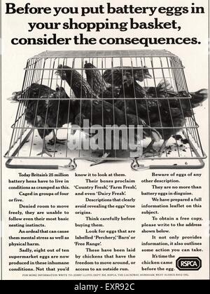 1990s UK RSPCA Magazine Advert Stock Photo - Alamy