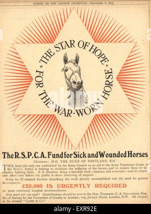 1910s UK RSPCA Magazine Advert Stock Photo - Alamy