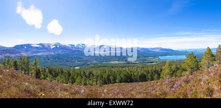 Landscape in Glenmore Forest Park with Cairngorms in background ...