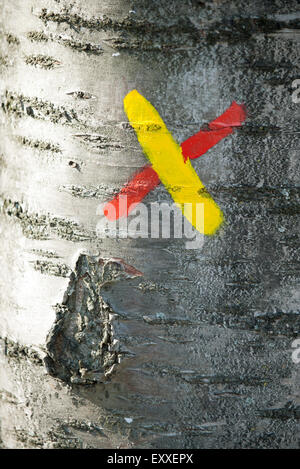 Red blaze trail markers on hiking path in the woods Stock Photo - Alamy