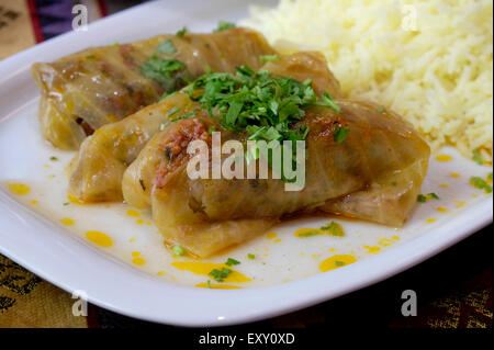 Traditional Kelem Dolmas which is minced lamb mixed with rice and ...