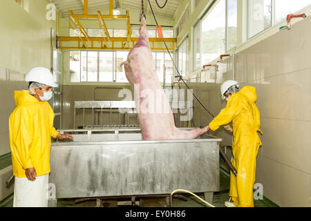 Inside a modern slaughterhouse Stock Photo - Alamy