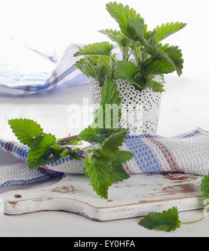 Fresh mint on white wooden background. Copy space and text area Stock ...