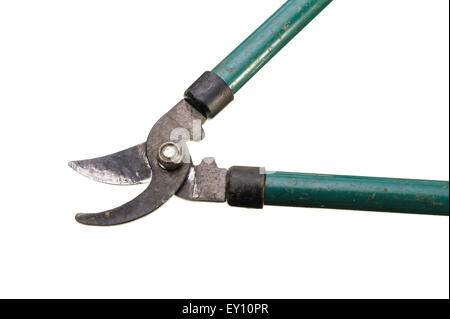 Long handled pruning loppers Stock Photo - Alamy