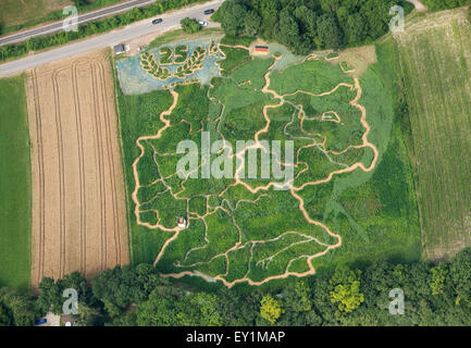 Utting, Germany. 19th July, 2015. Many sail boats floating on the water ...