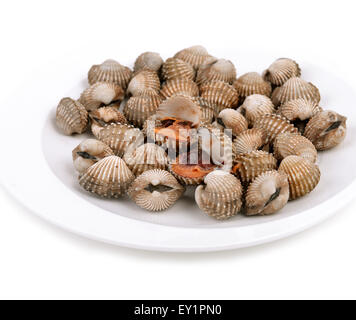 blood cockle cooked on a white dish Stock Photo - Alamy