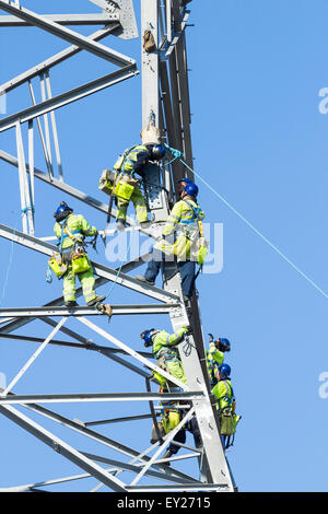 Workers erecting 145 metre tall electricity pylons across the river ...
