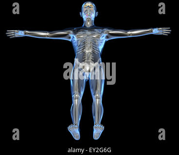 Human skull bones, seen from below, digital improved reproduction from ...