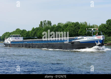 The Amore, with ENI 02317544, is a container ship operating on the ...