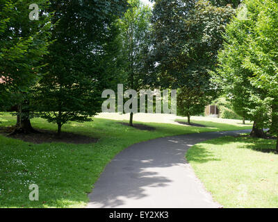 Tree lined pathway through public green space Avenham and Miller Parks ...