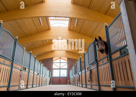 Nice stable lane. Germany Stock Photo - Alamy