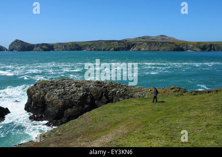 Coastline of Ramsey Island, Pembrokeshire, Wales Stock Photo - Alamy
