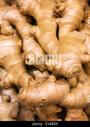 Variety of ginger products Stock Photo - Alamy