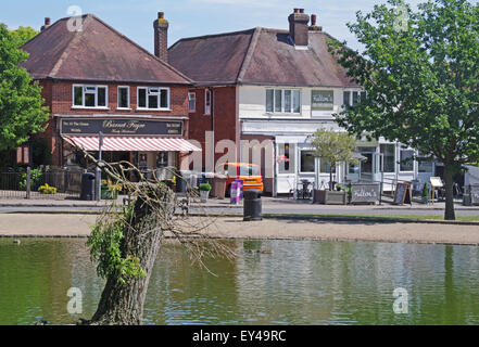The village pond on Writtle green Stock Photo - Alamy