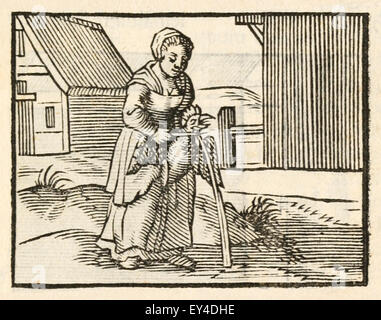 Aesop's Goose and Golden Egg Stock Photo - Alamy