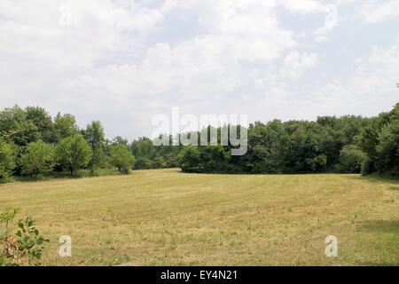 landscape of uncultivated fields in northern Italy Stock Photo - Alamy