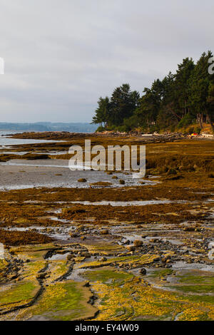 The beach at Smuggler's Park on Protection Island, Nanaimo, British ...