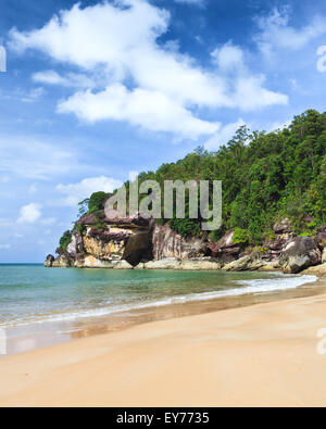 Exotic sand beach and cliffs with forest Stock Photo - Alamy