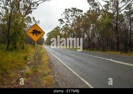 Tasmanian devil road sign. Tasmania, AUSTRALIA Stock Photo - Alamy