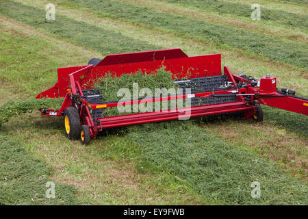 H5430 windrow merger; New Holland, Pennsylvania, United States of ...