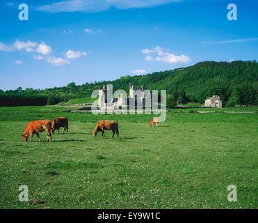 Fore Abbey, Fore, Co Westmeath, Ireland Stock Photo - Alamy