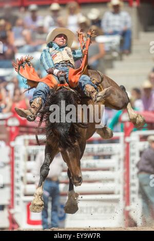 Cheyenne, Wyoming, USA. 24th July, 2015. Steer Wrestler Justin Shaffer ...