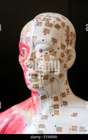 Model doll, detail, acupuncture points, red, meridians, Series ...