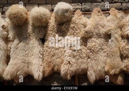 Sheepskin hats called Papakha also known as astrakhan hat in English, a ...