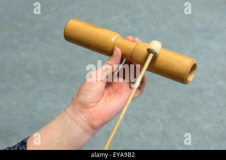 hand hands musical instrument wood skin percussion rhythm drums Stock ...