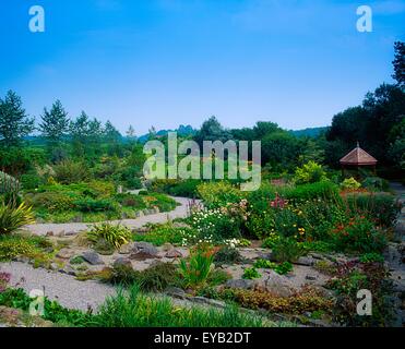Gash Gardens, Co Laois, Ireland, Hidden Stream Walkway Stock Photo - Alamy