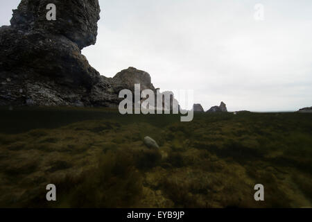 Stack or seastack – a geological landform consisting of a steep and ...