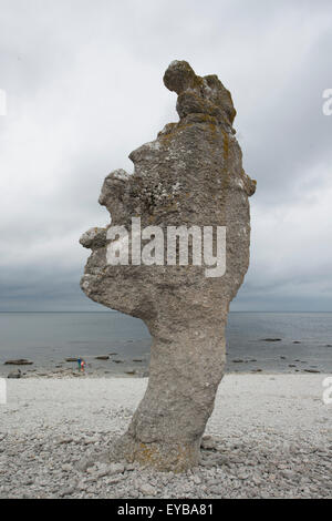 Stack or seastack – a geological landform consisting of a steep and ...