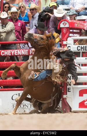 South Dakota State bareback rider Nick Schwedhelm and Bismark draw a ...