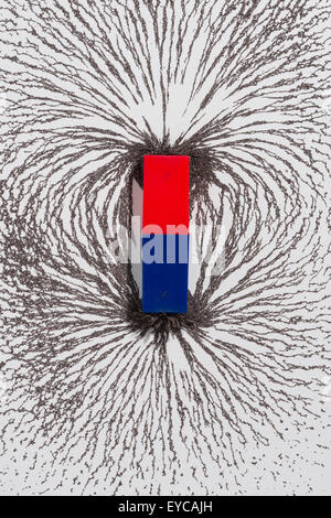 Red magnet attracting iron filings, illustrating a magnetic field in a ...